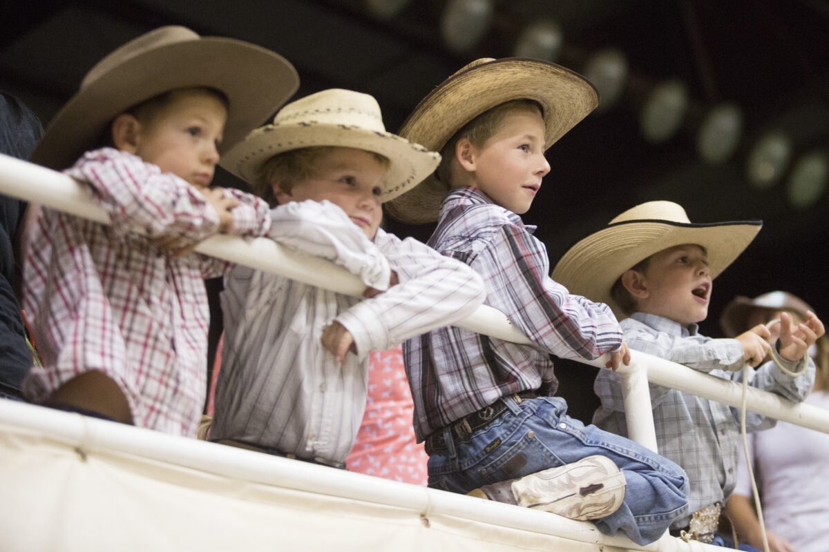 Utah youth rodeo growing, changing lives | News, Sports, Jobs ...